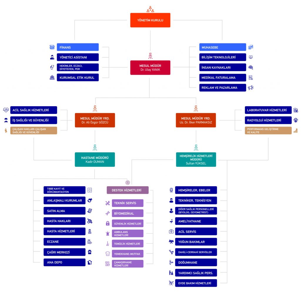 Hospital Staff Hierarchy Chart